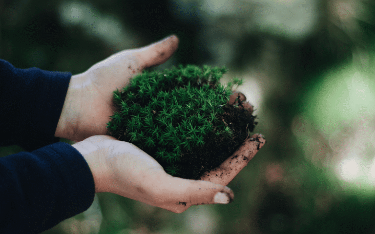 20 Easily Biodegradable Materials You Should Know About - Hongren
