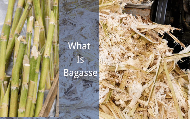 What Is Bagasse? Sugarcane Fibre Explained - Hongren