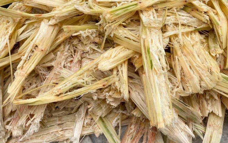 What is bagasse: Properties, How its Made and Where - Hongren